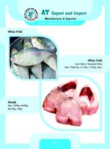 Hilsha Fish – AT Export & Import